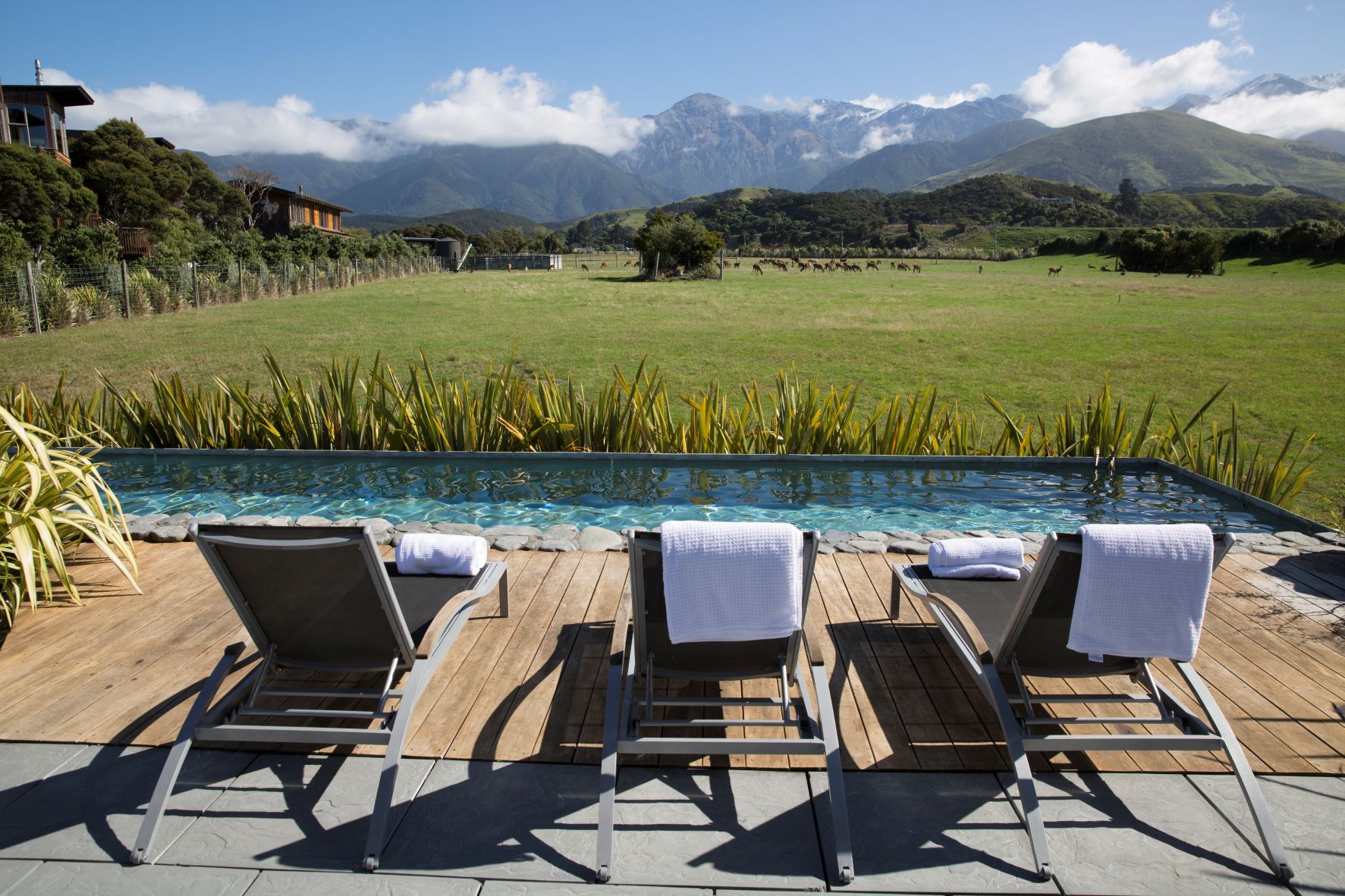 Lodge Life Summer - Nature Swims | Luxury Lodges of New Zealand